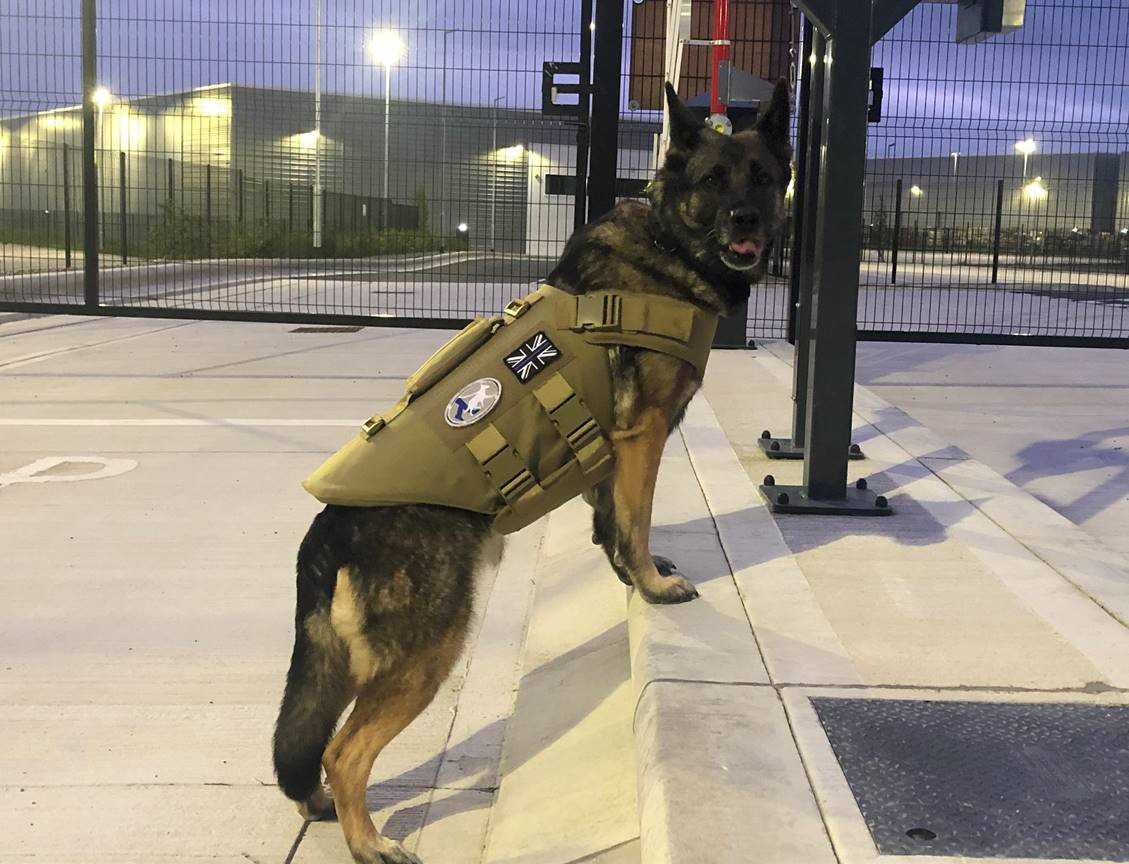 VestGuard Covert Tactical Ballistic Bodyarmour Vest NIJ level 3a ...